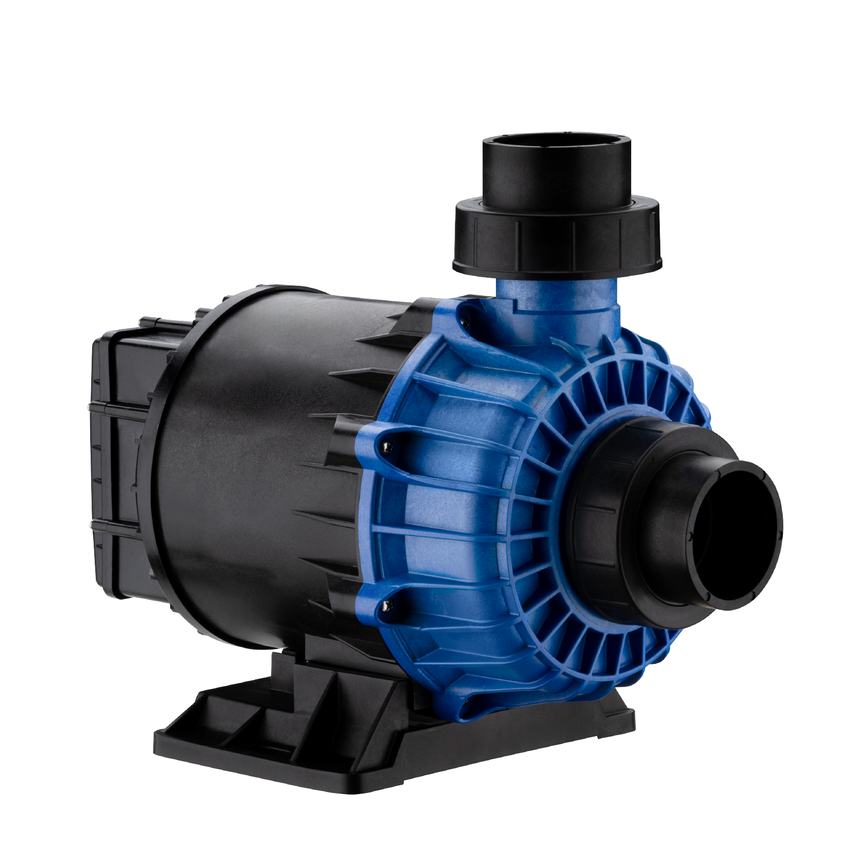 Circulação - Syllent